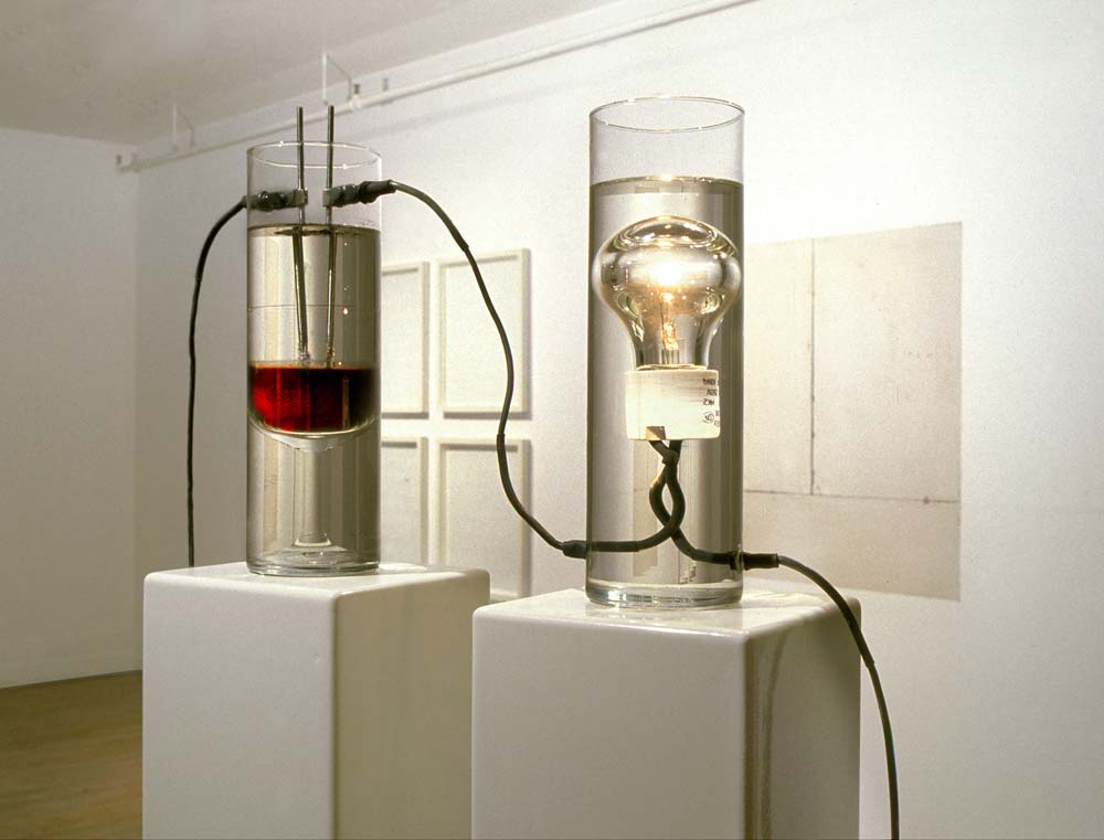 Opacité du corps dans la transparence du circuit - Michel de Broin