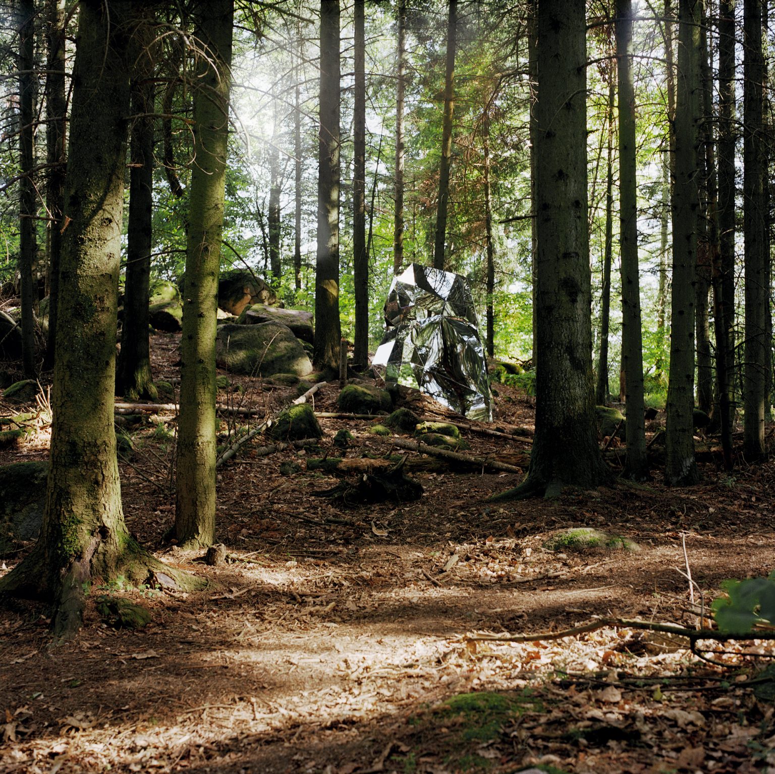 Superficial - Michel de Broin