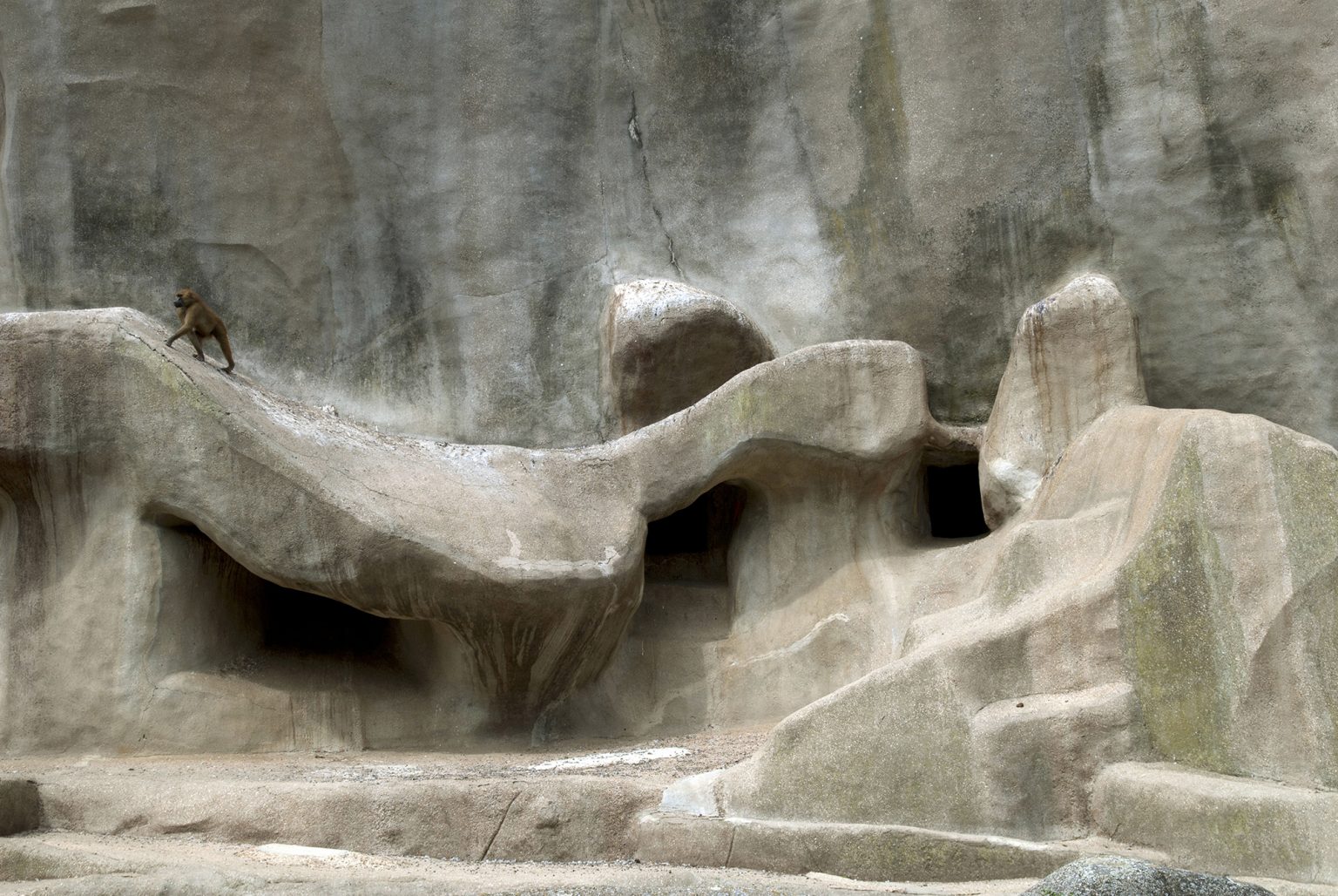 Relief - Michel de Broin