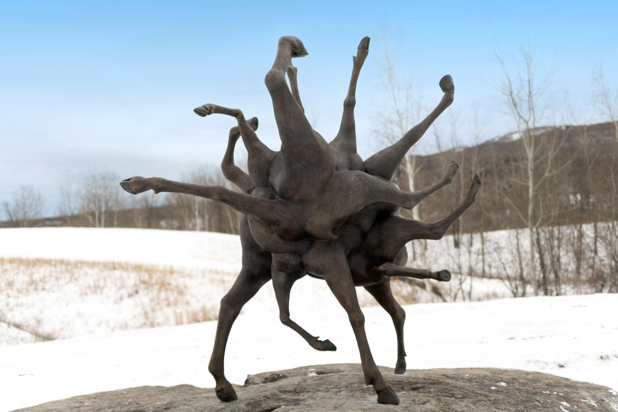 Bestiary - Michel de Broin